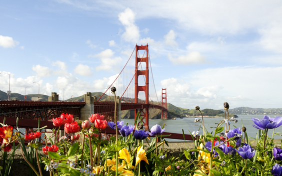 Fairmont Hotel, San Francisco - Hotel Essence Photography